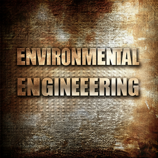 Dice Roll with Options