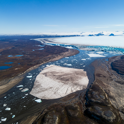 Dice Roll with Options